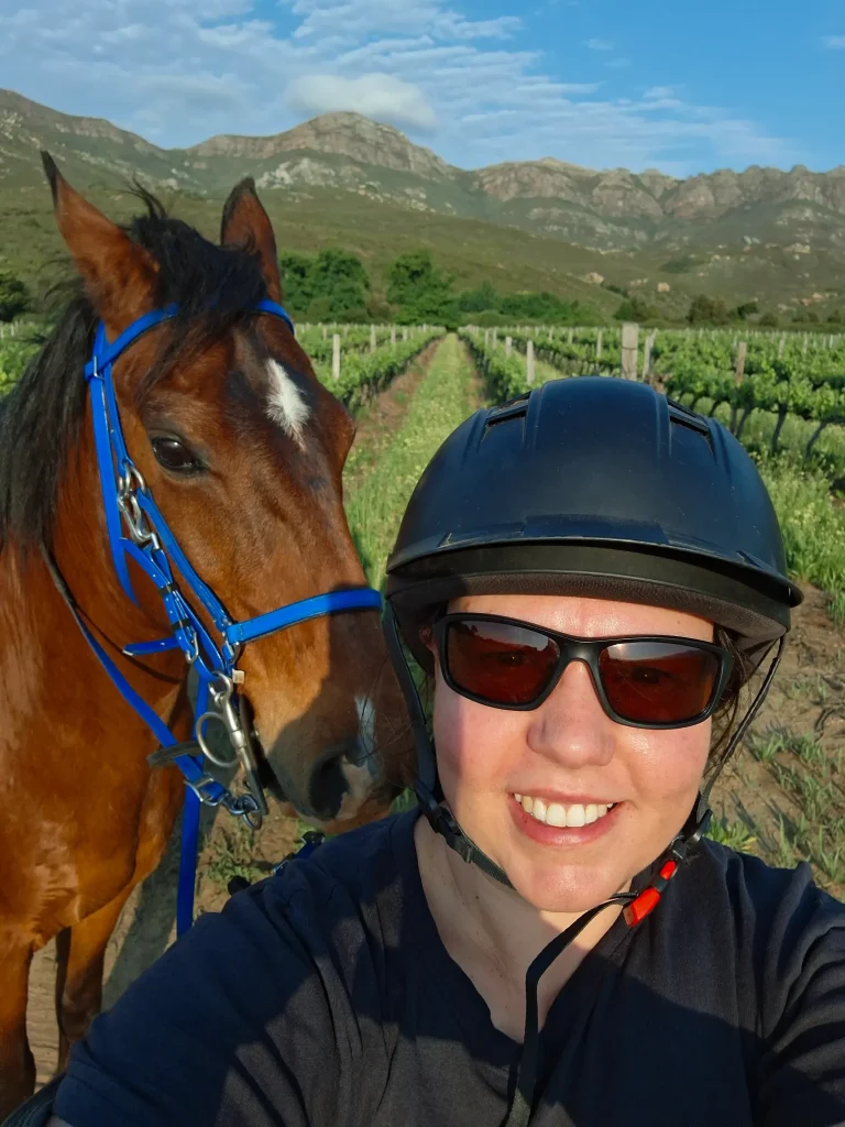 About | Silver Pony Web Design